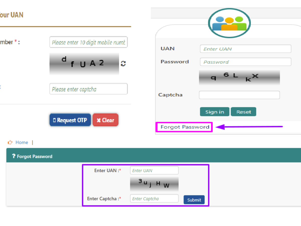 Epfo Uan Login PF Registration For New Employees | UAN Generation In